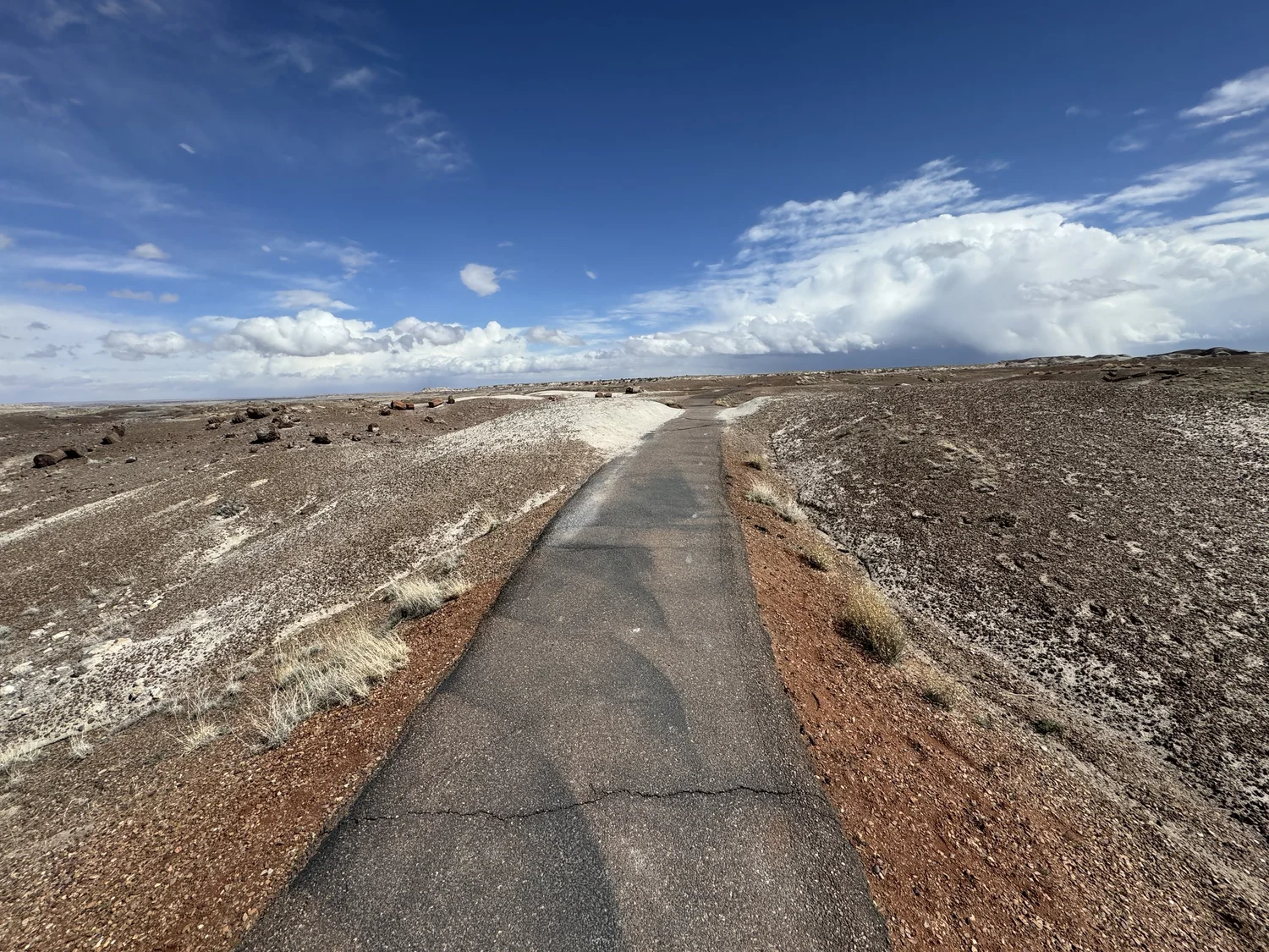 Hiking the Crystal Forest Trail in Petrified Forest National Park ...