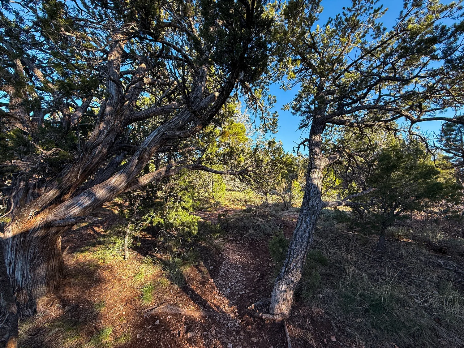 Hiking the Duck on a Rock Trail in Grand Canyon National Park — noahawaii