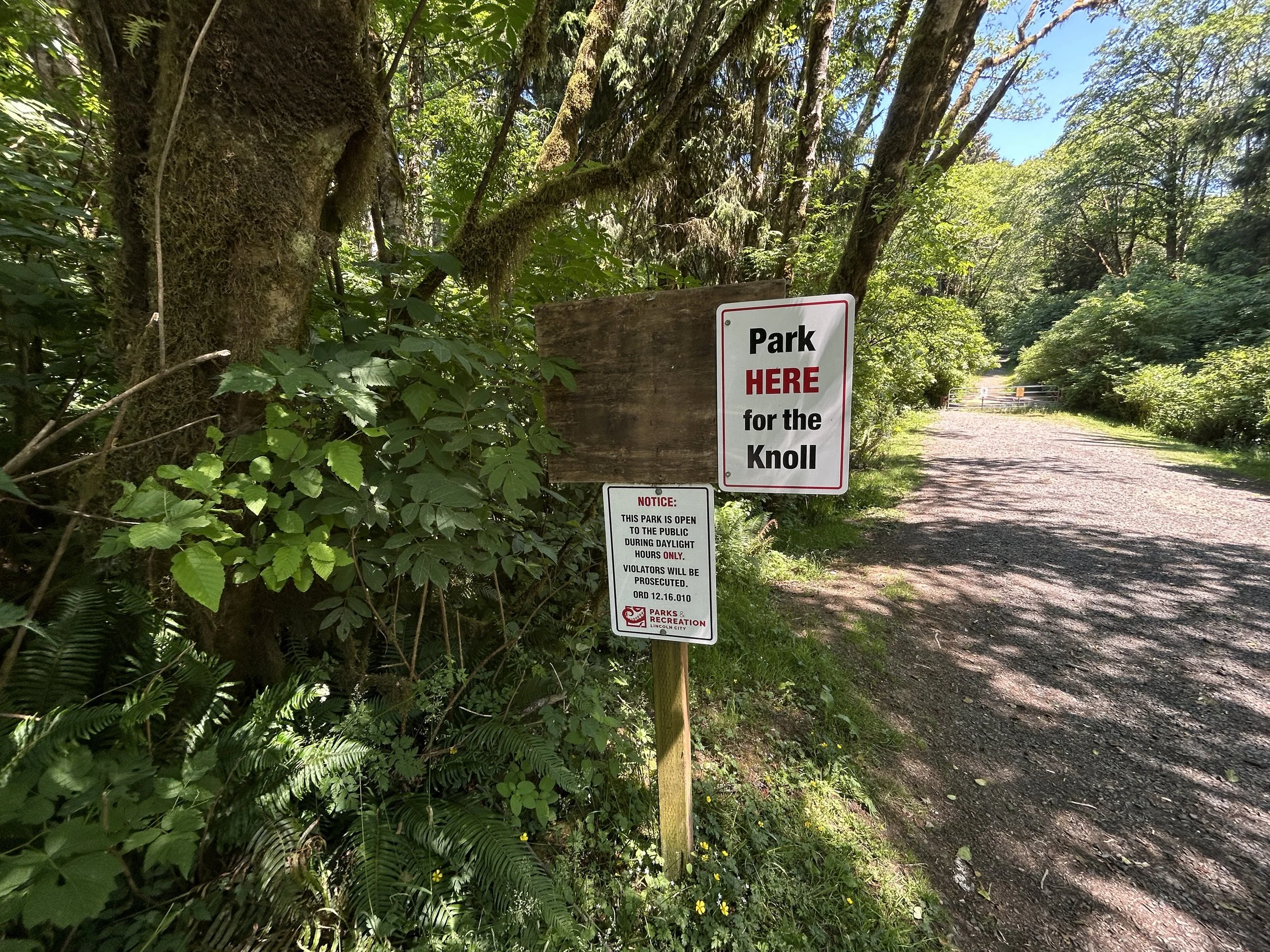 Hiking the God’s Thumb Trail via The Knoll on the Oregon Coast — noahawaii
