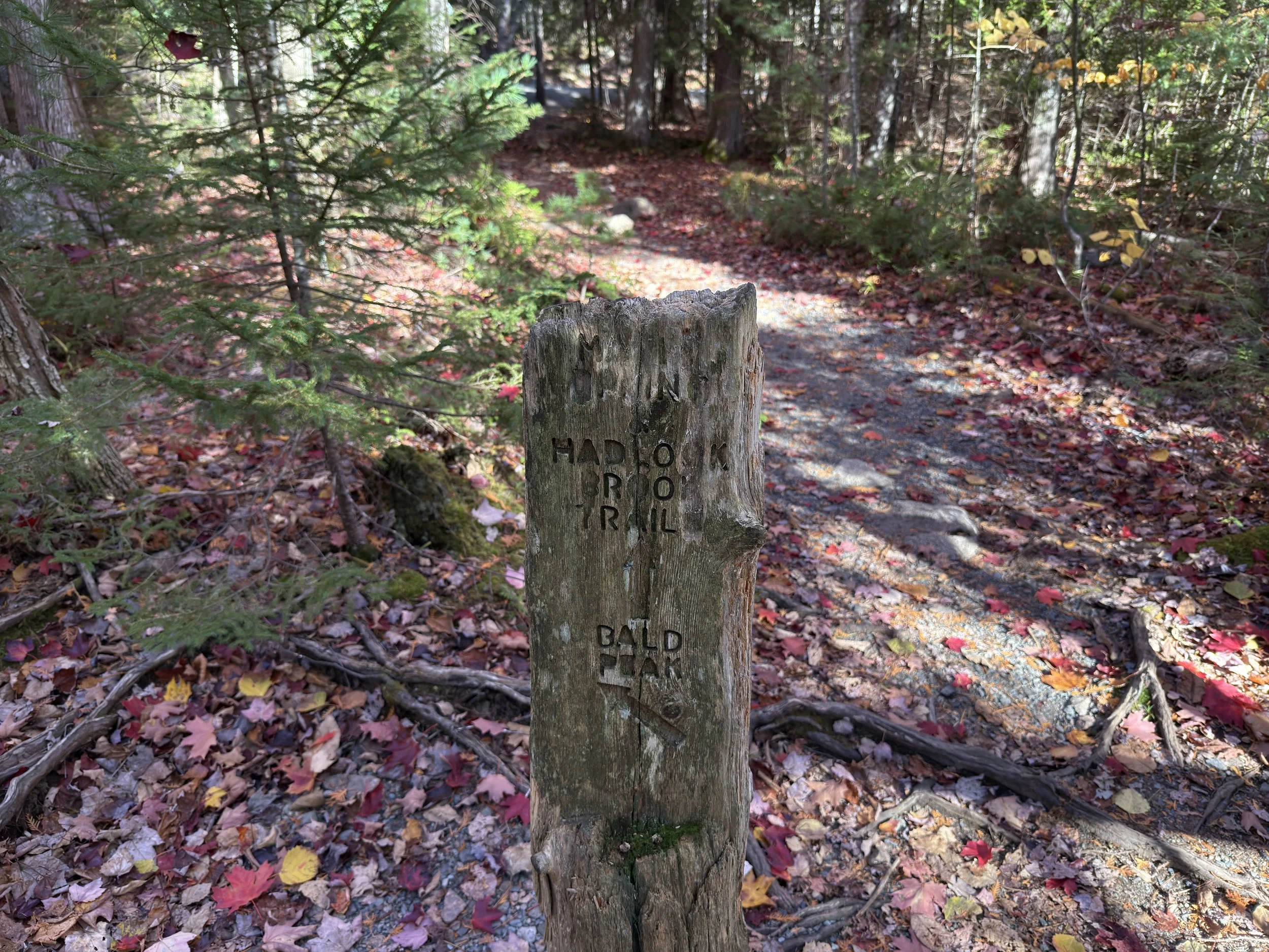 Hiking the Hadlock Ponds Loop Trail in Acadia National Park — noahawaii