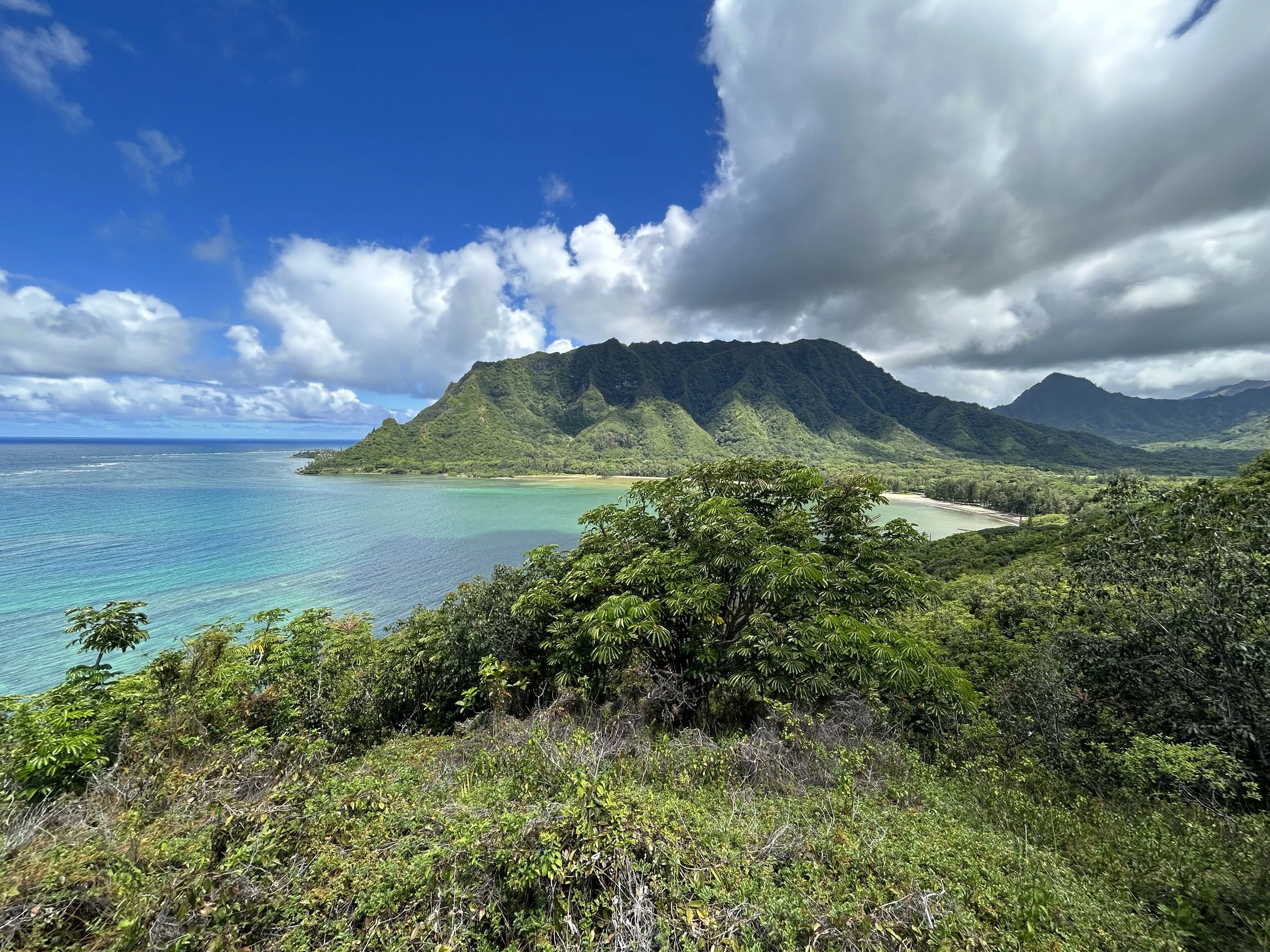 Hiking the Puʻu Piei Trail on Oʻahu, Hawaiʻi — noahawaii