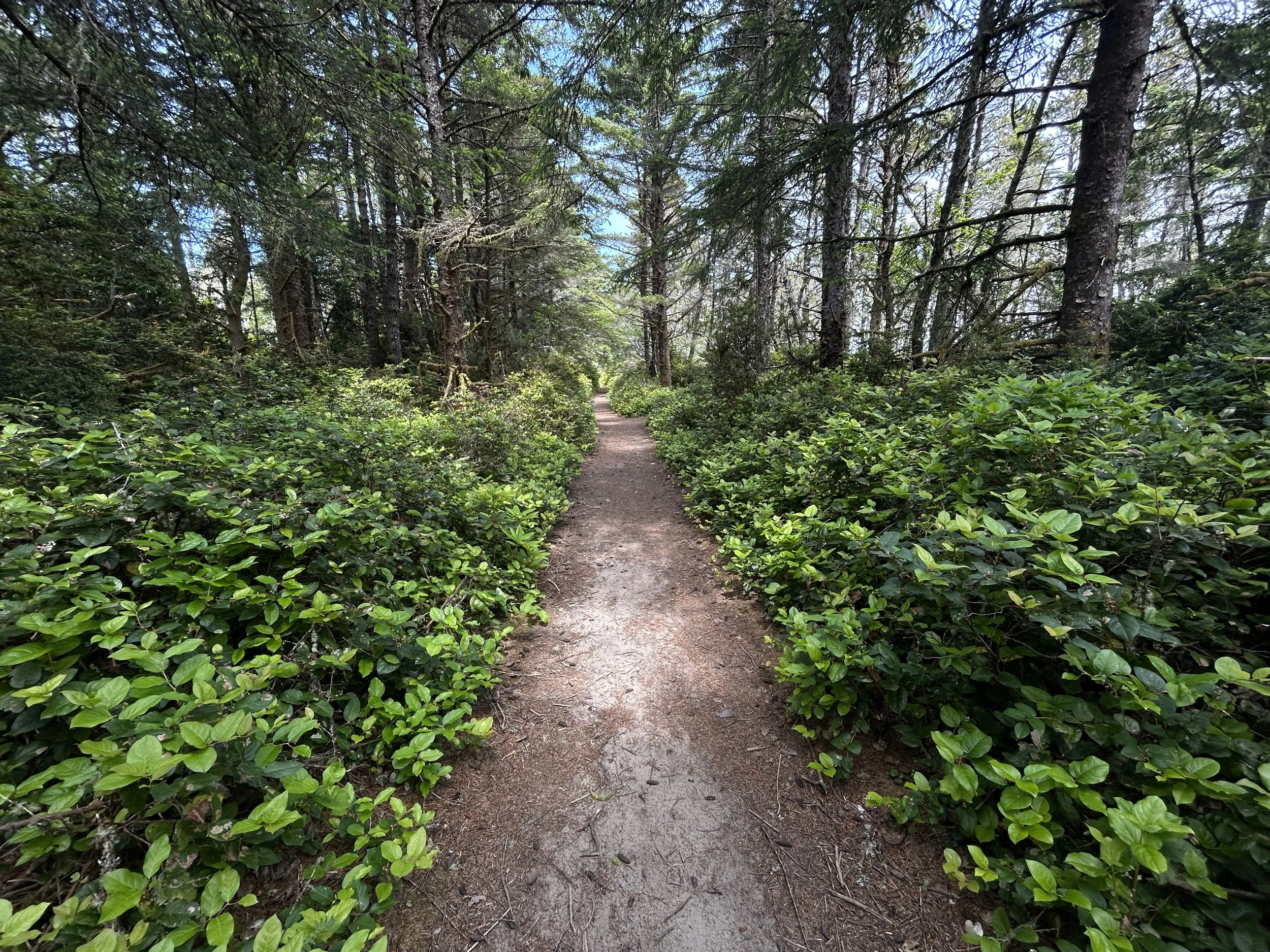 Hiking the Blacklock Point Sea Cliffs Trail on the Oregon Coast — noahawaii