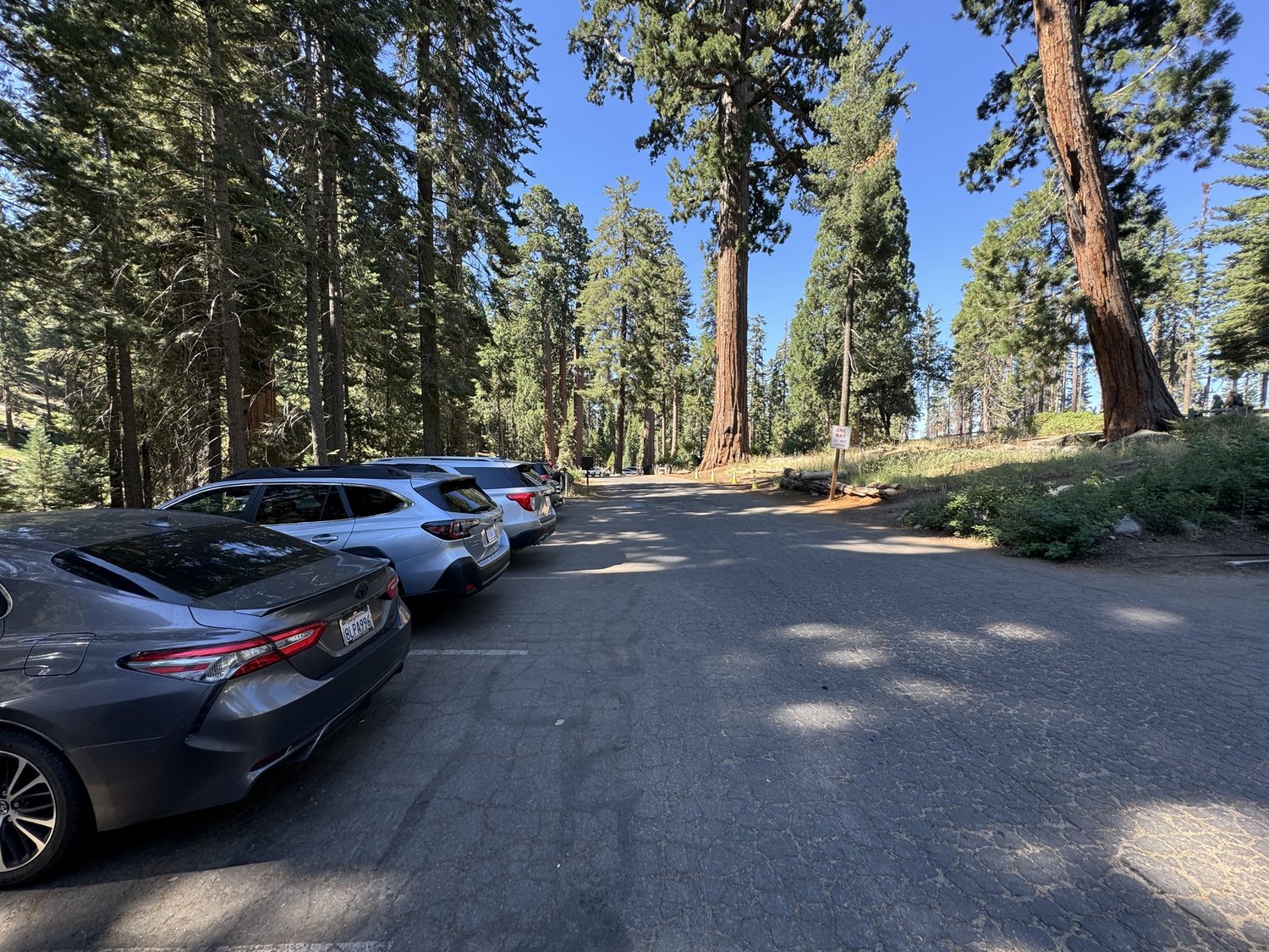 Hiking the Big Trees Trail in Sequoia National Park — noahawaii