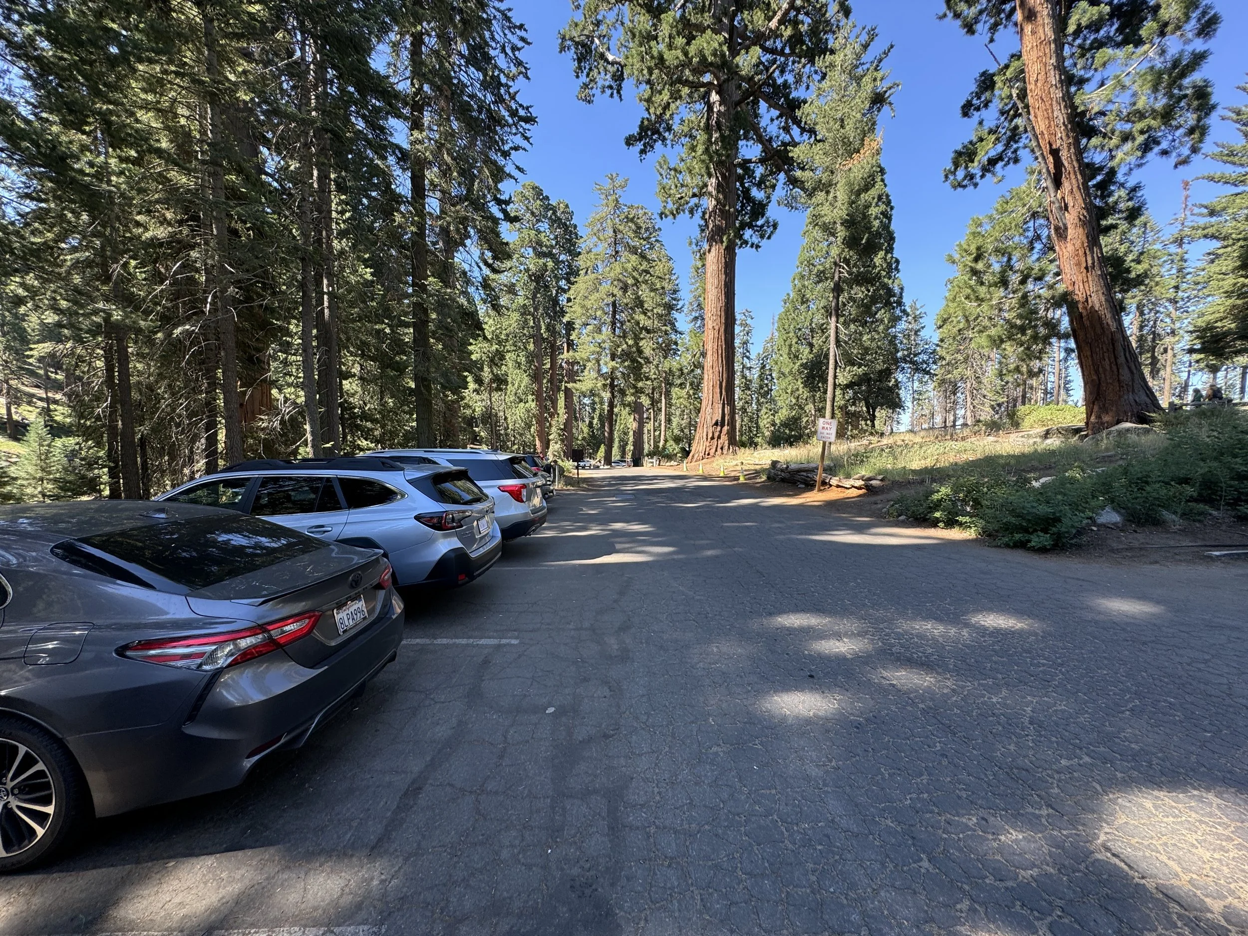 Hiking the Sunset Rock Trail in Sequoia National Park — noahawaii