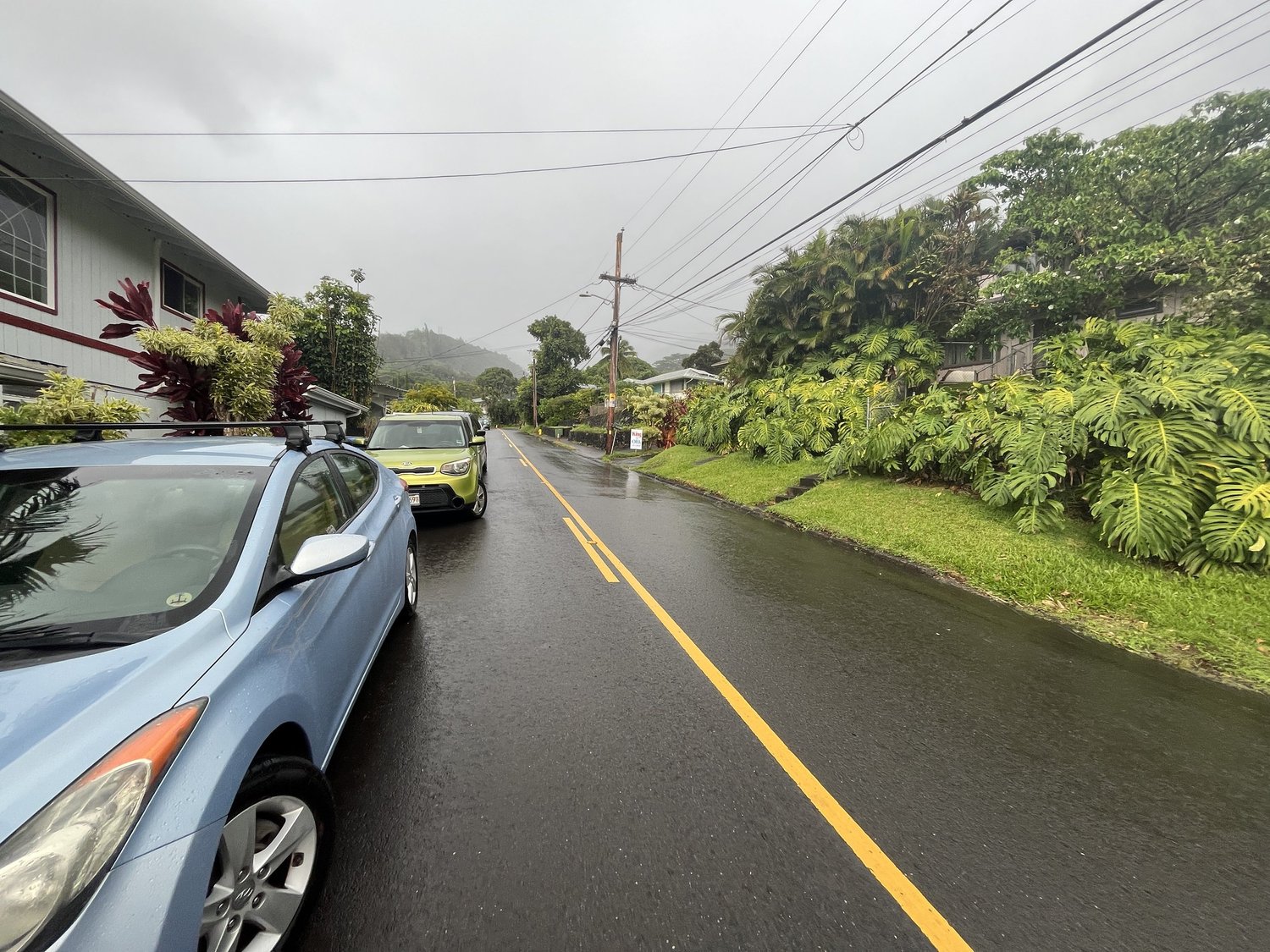 Hiking the Puʻu Pia Trail on Oʻahu — noahawaii