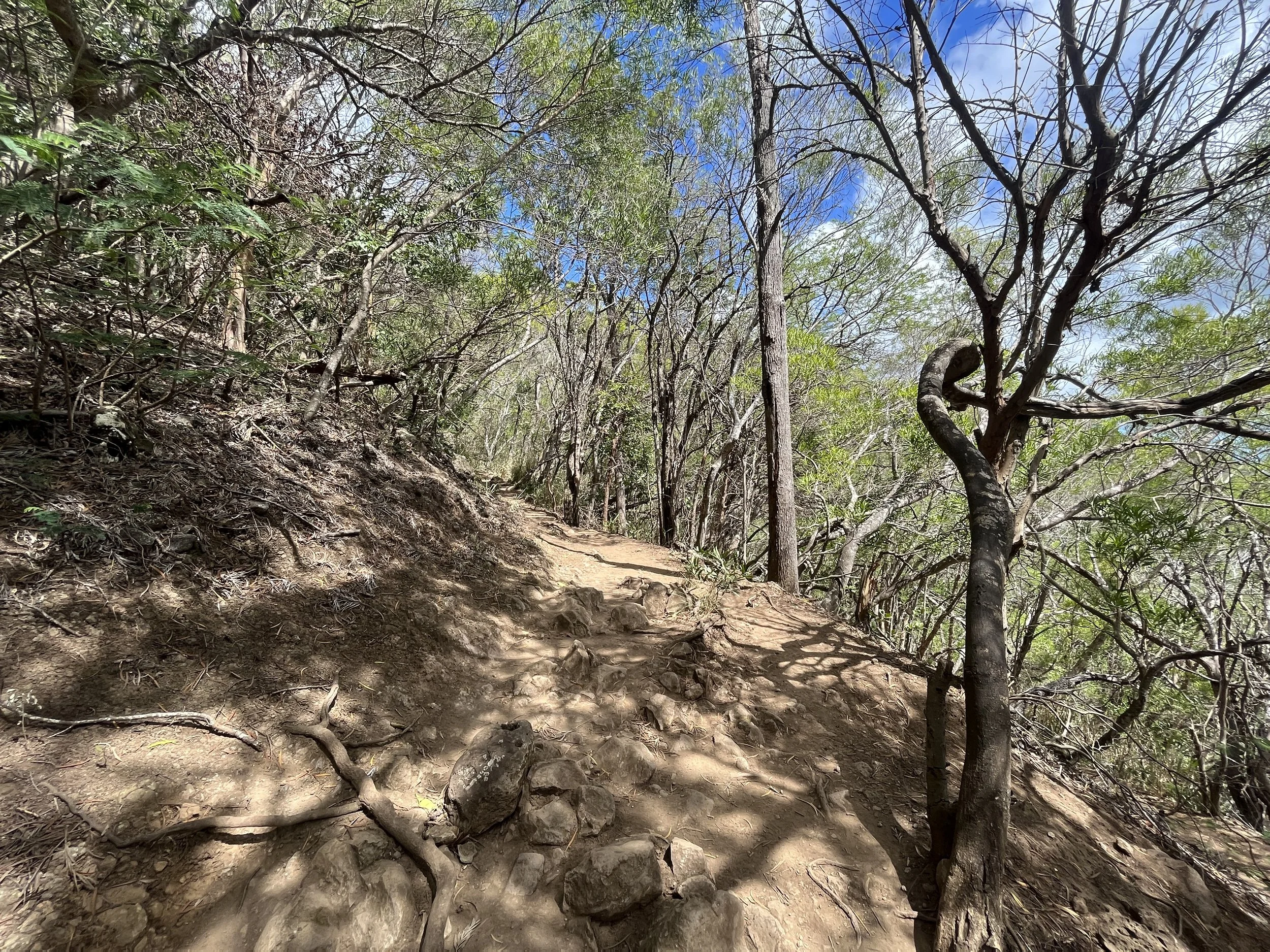Hiking the Kuliʻouʻou Ridge Trail on Oʻahu — noahawaii