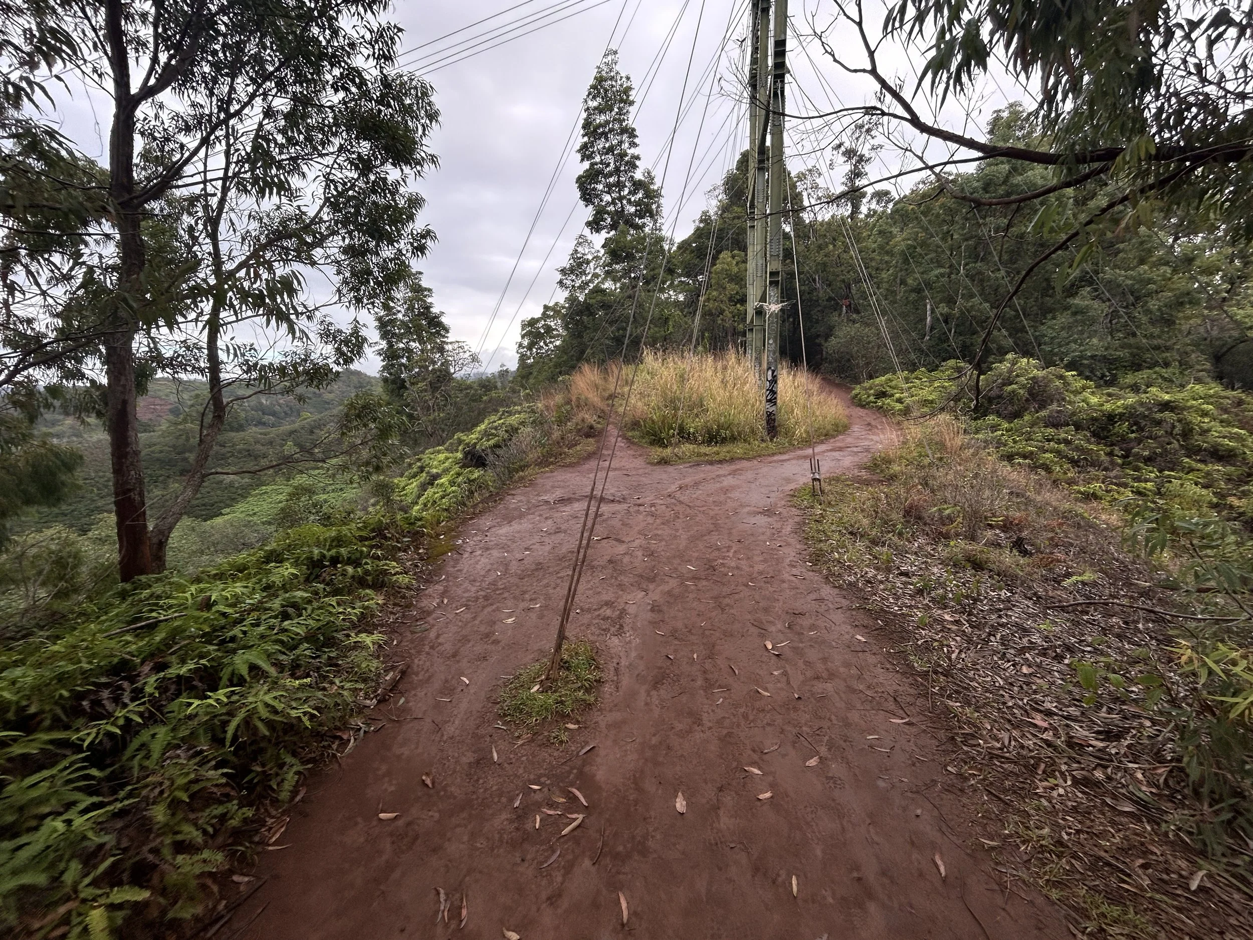 Hiking the Waimano Falls Trail on Oʻahu, Hawaiʻi — noahawaii