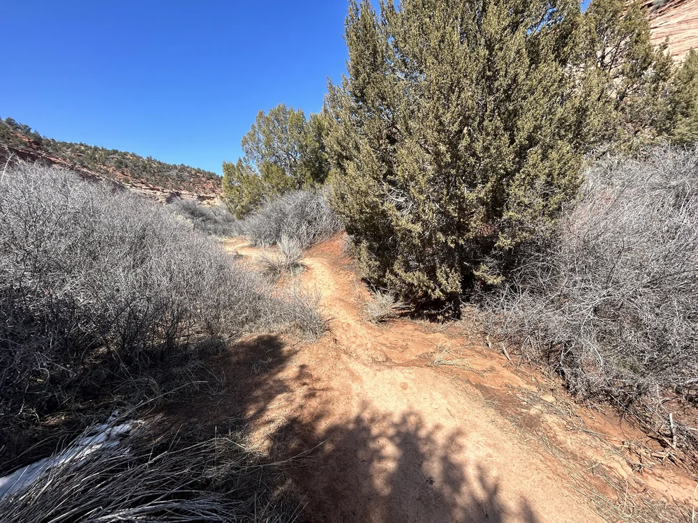 Hiking the Moqui Sand Caves Trail in Kanab, Utah — noahawaii