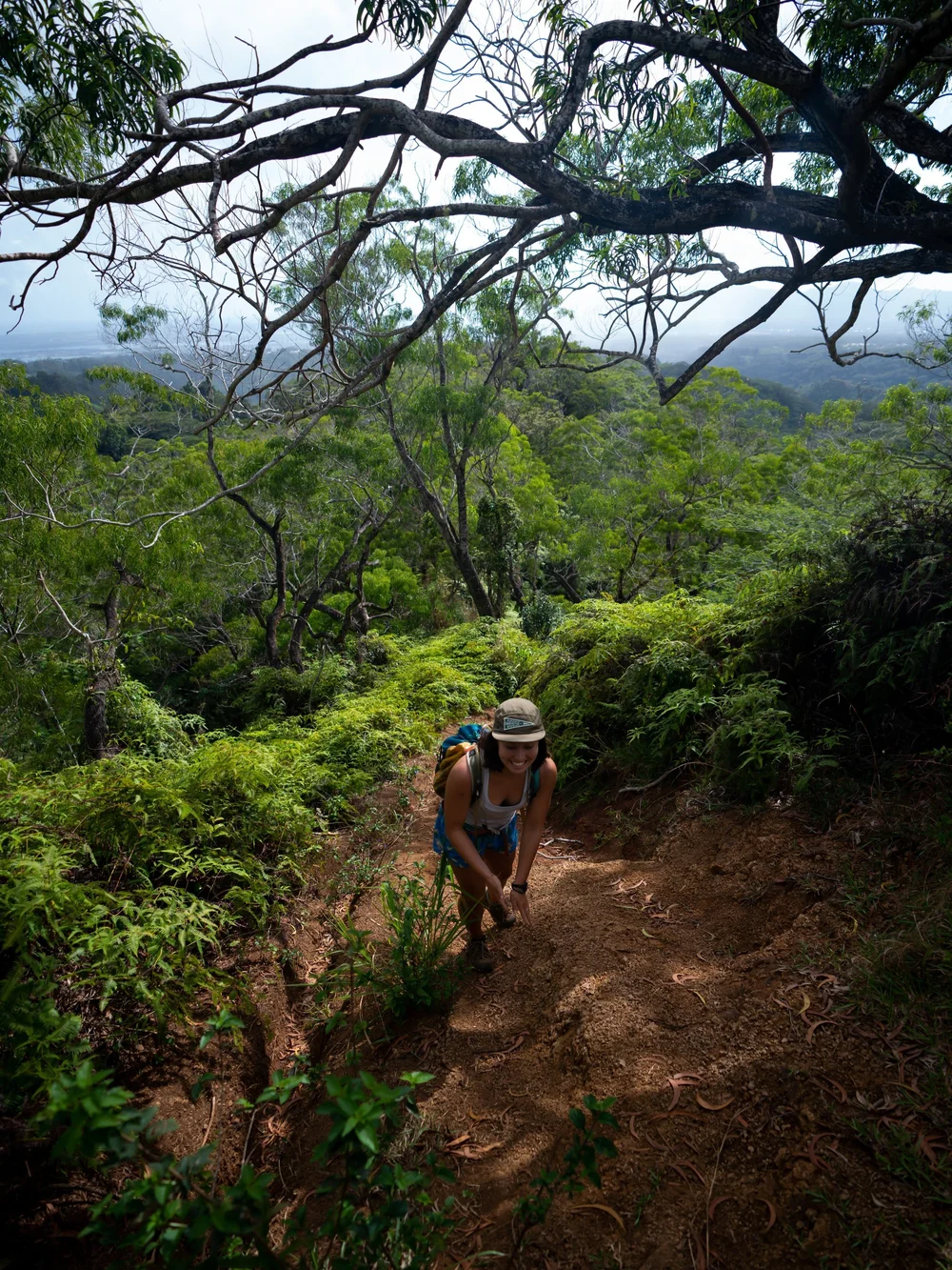 Hiking the ʻIliahi Ridge Trail on Oʻahu, Hawaiʻi — noahawaii