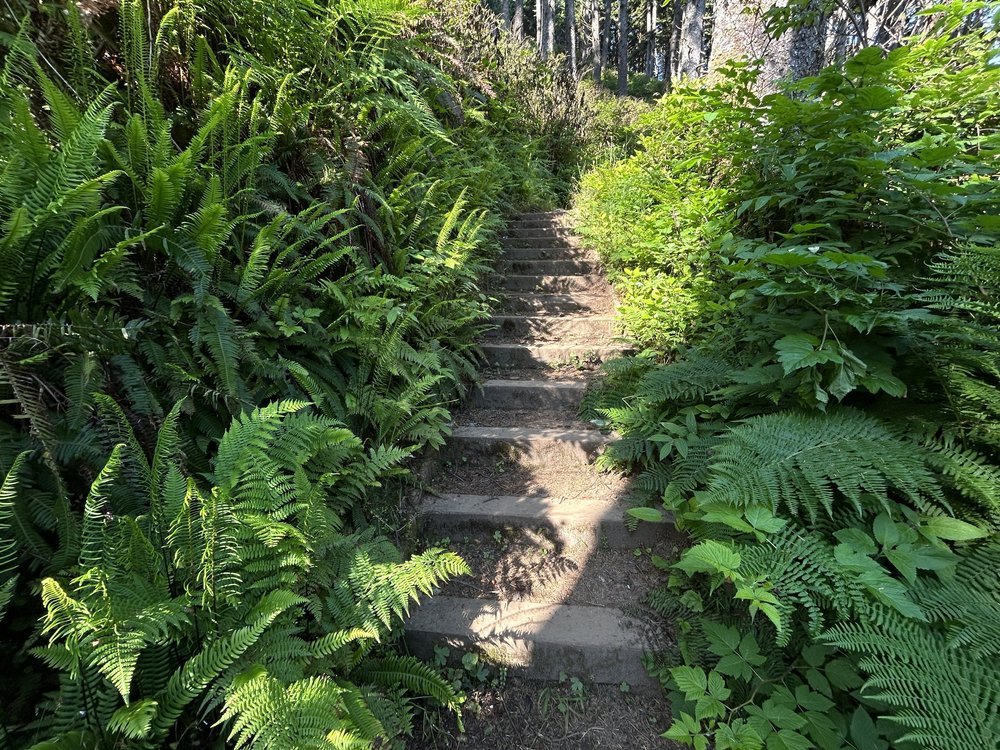 Hiking the Heceta Head Lighthouse Trail on the Oregon Coast — noahawaii