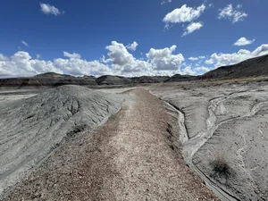 Hiking the Historic Blue Forest Trail in Petrified Forest National Park ...