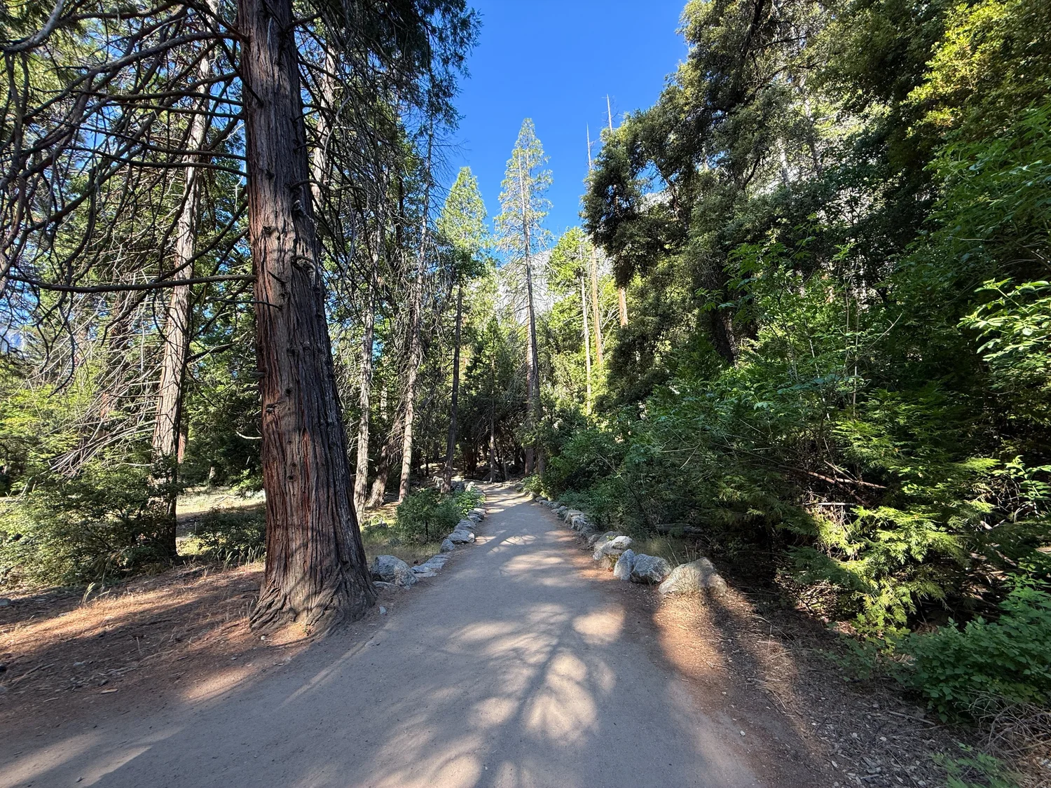 Hiking the Yosemite Valley Loop Trail in Yosemite National Park — noahawaii