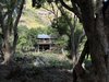 Hiking the Hālawa Valley Trail to Moaʻula & Hīpuapua Falls on Molokai ...