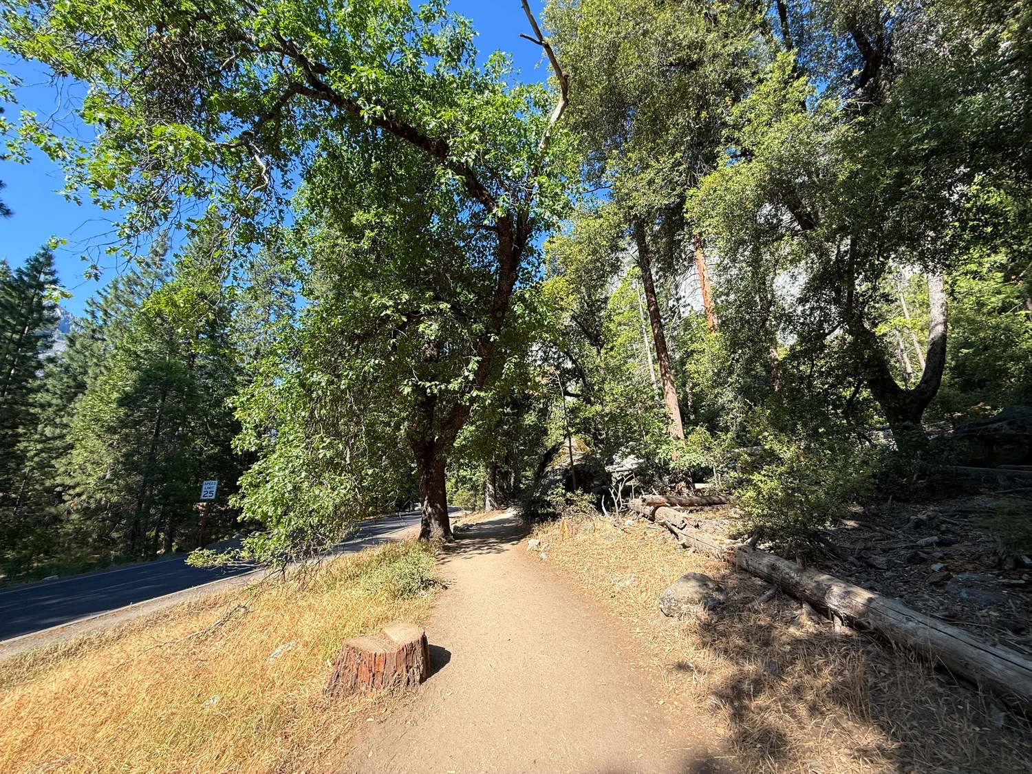 Hiking the Yosemite Valley Loop Trail in Yosemite National Park — noahawaii
