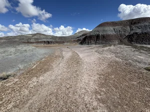 Hiking the Historic Blue Forest Trail in Petrified Forest National Park ...