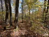 Hiking the Little Moose Pond Loop Trail in Greenville, Maine — noahawaii