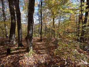 Hiking the Little Moose Pond Loop Trail in Greenville, Maine — noahawaii