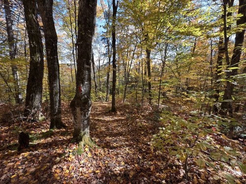 Hiking the Little Moose Pond Loop Trail in Greenville, Maine — noahawaii