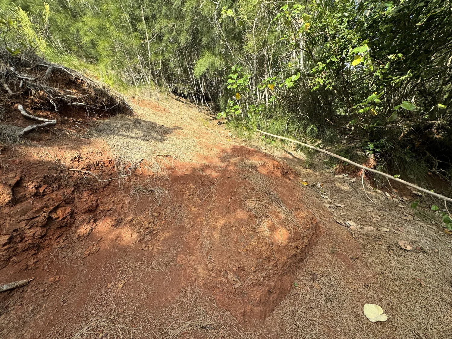 Hiking the Kaipapaʻu Pillbox Trail on the North Shore of Oʻahu, Hawaiʻi ...