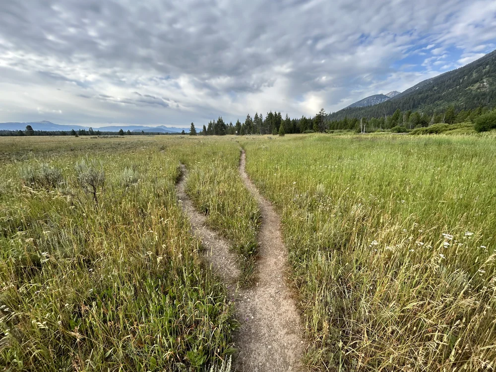 Hiking the Moose Ponds Loop Trail in Grand Teton National Park — noahawaii
