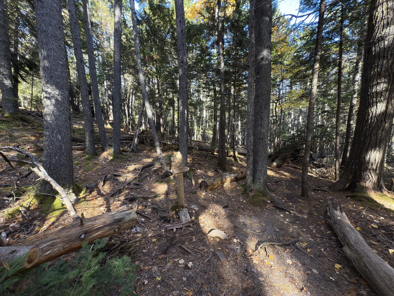 Hiking the Hadlock Ponds Loop Trail in Acadia National Park — noahawaii