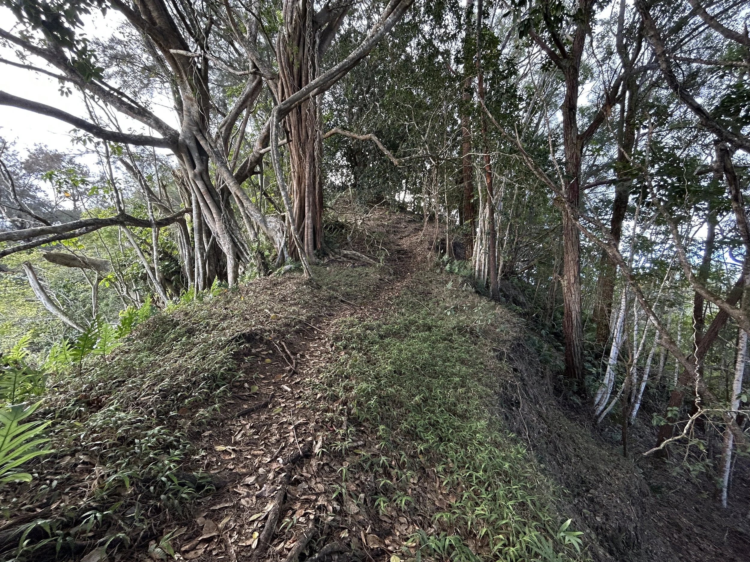 Hiking the Pyramid Rock Loop Trail on Oʻahu — noahawaii