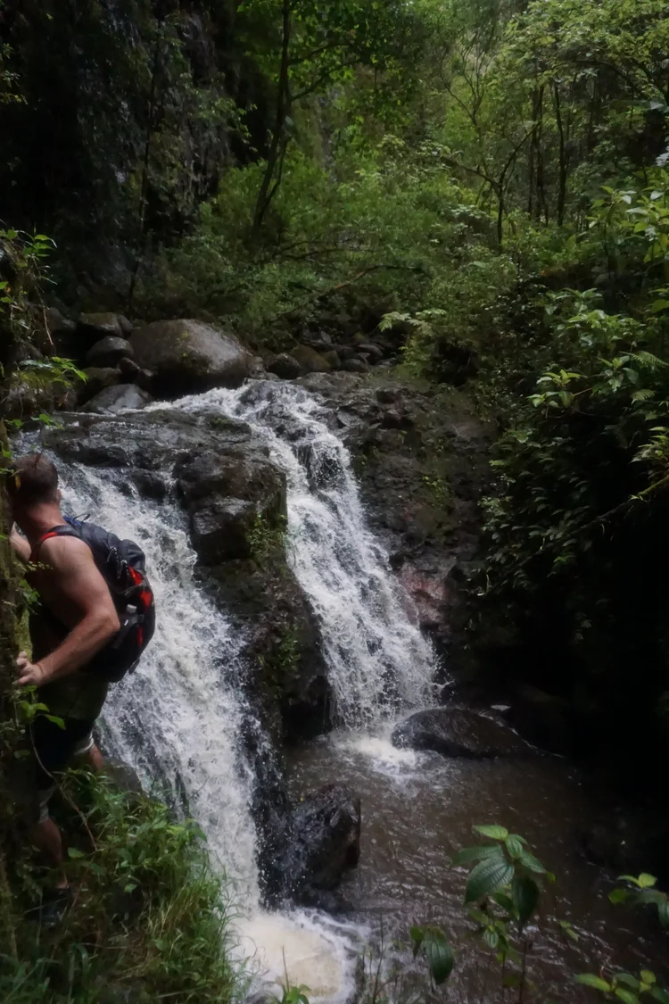 Hiking the Kōloa Gulch Trail on Oʻahu — noahawaii