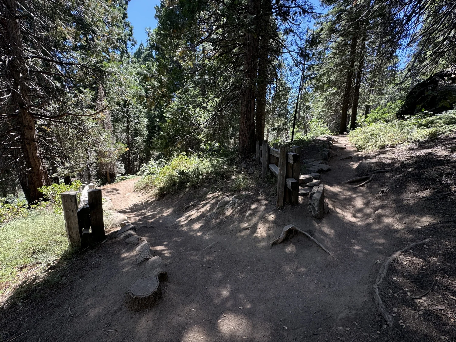 Hiking the Big Stump Loop Trail in Kings Canyon National Park — noahawaii