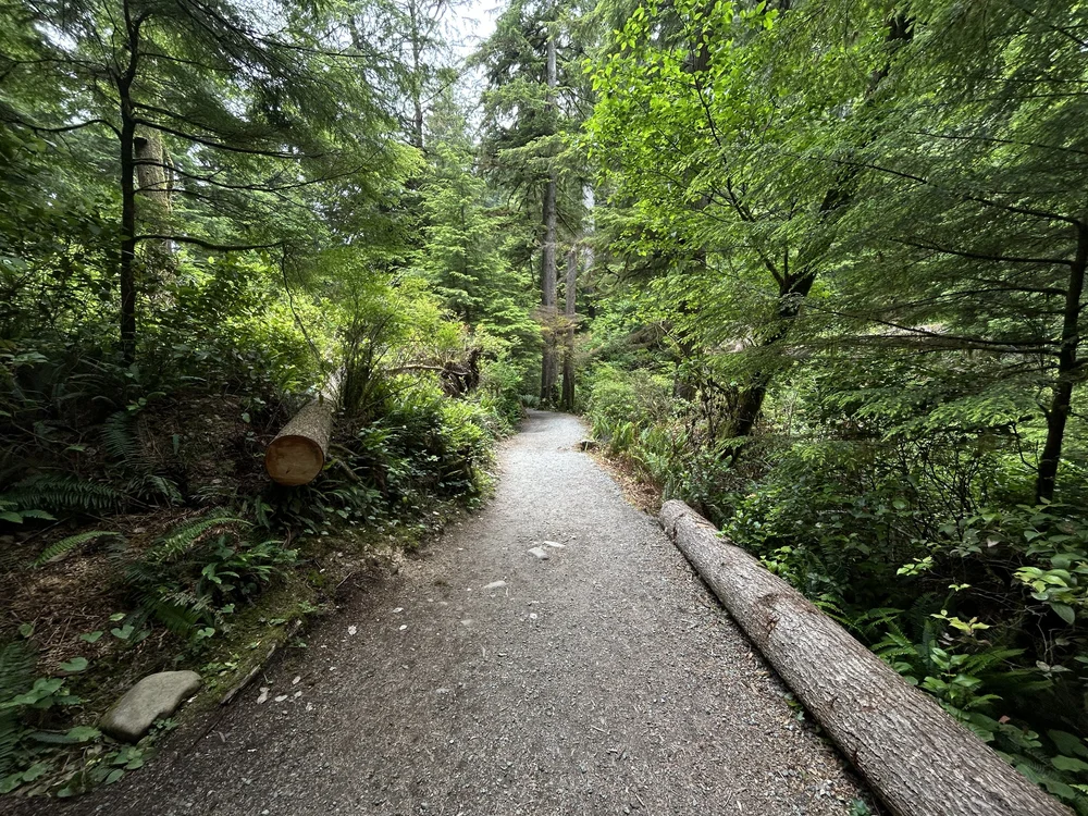 Hiking the Short Sand Beach Trail on the Oregon Coast — noahawaii