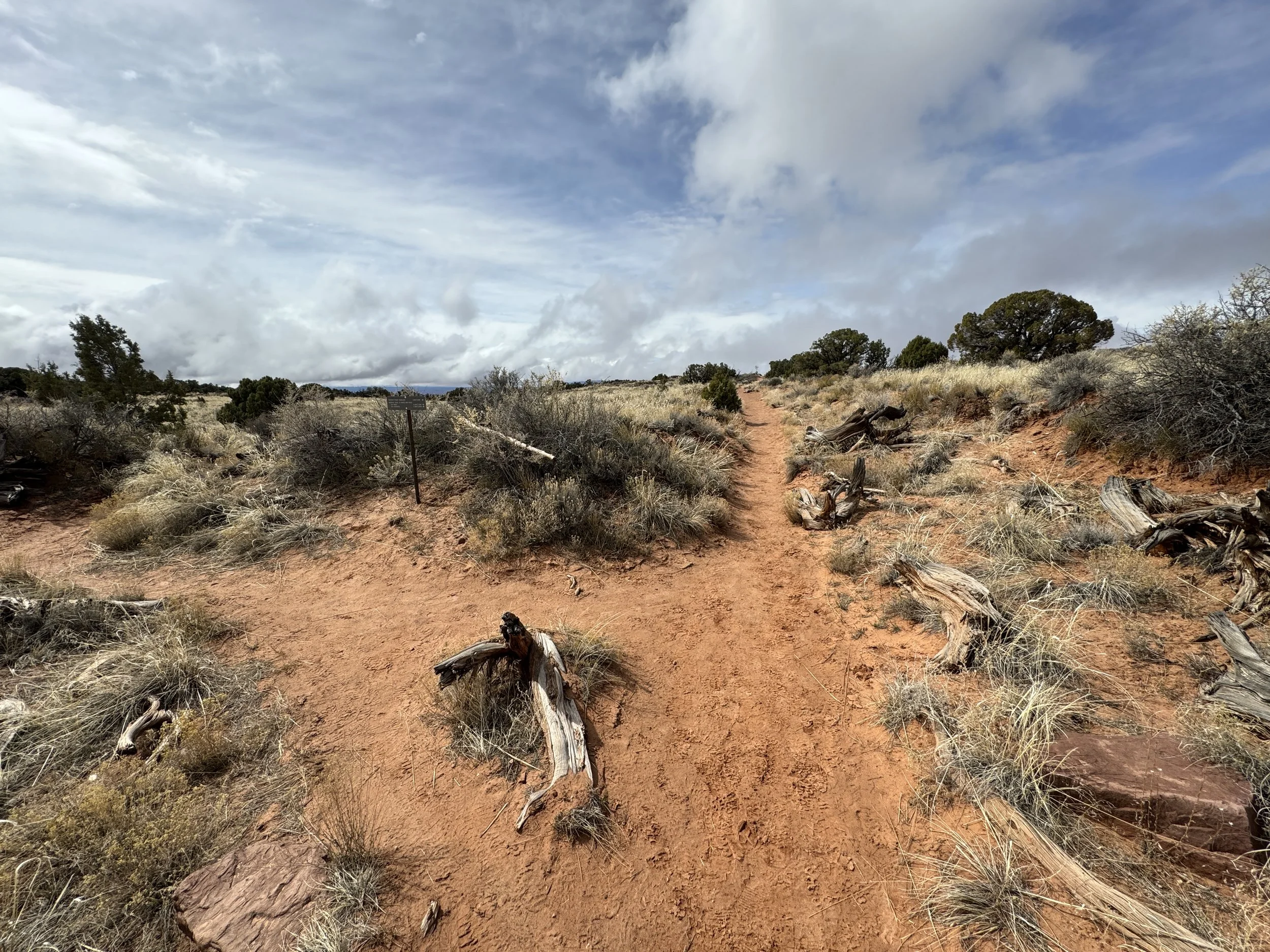 Hiking the Murphy Point Trail in Canyonlands National Park — noahawaii