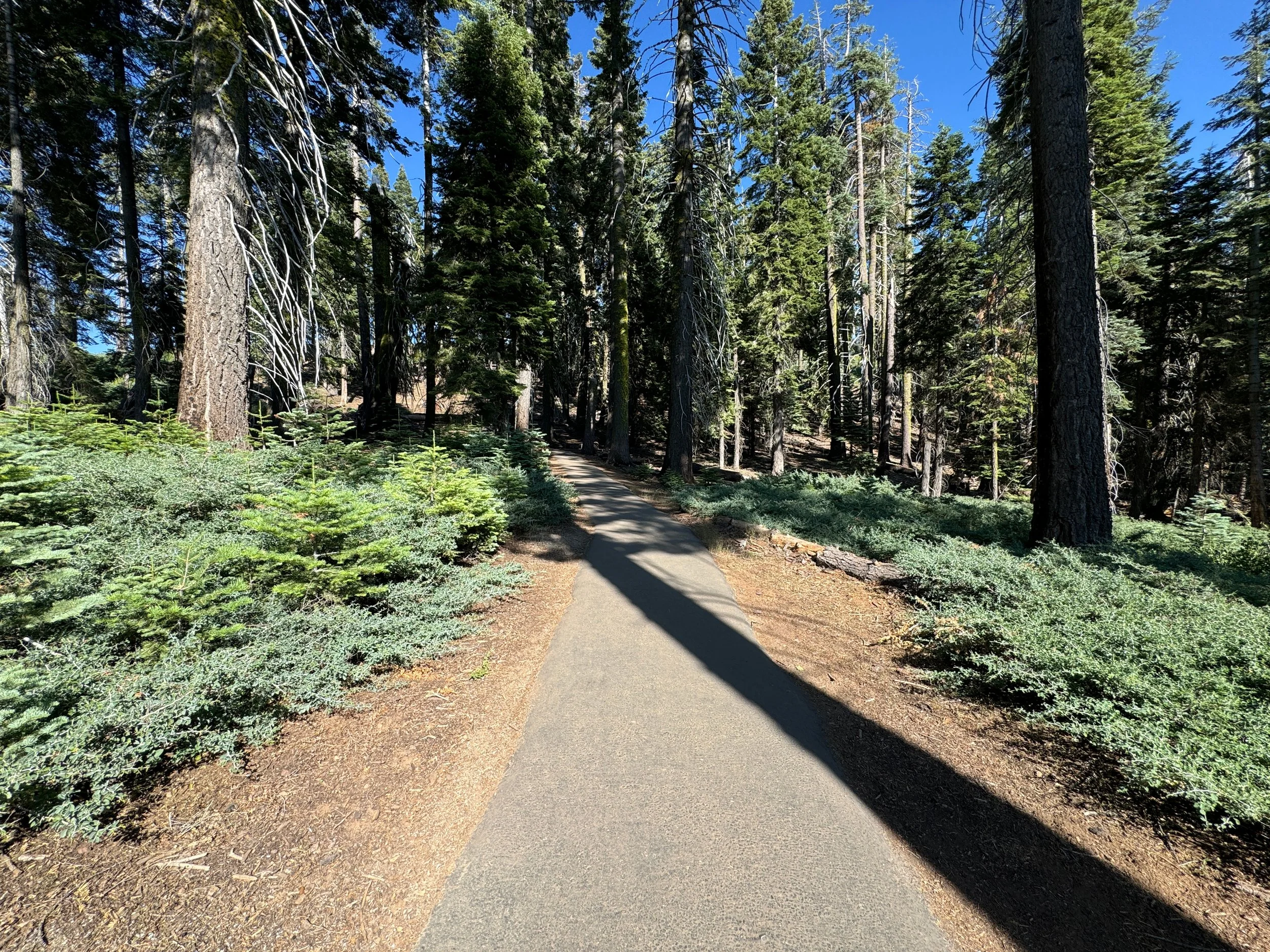 Hiking the Panoramic Point Trail in Kings Canyon National Park — noahawaii