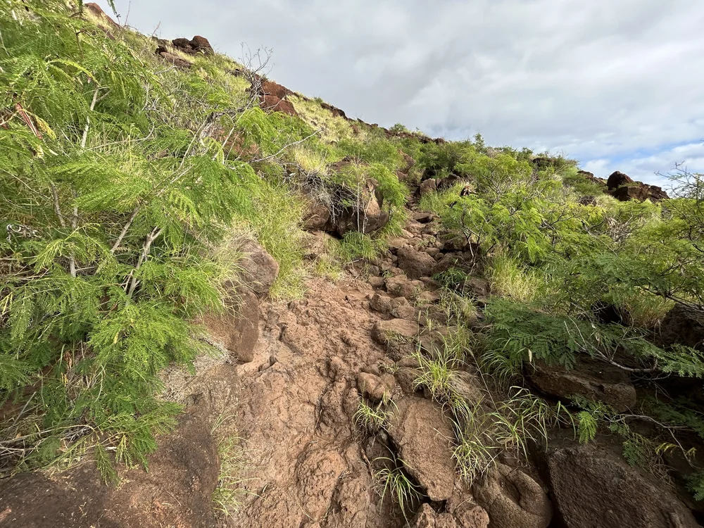 Hiking the West Lāhainā Pali Trail (Windmill Hike) on Maui, Hawaiʻi ...