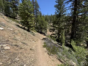 Hiking the Swamp Canyon Loop Trail in Bryce Canyon National Park ...