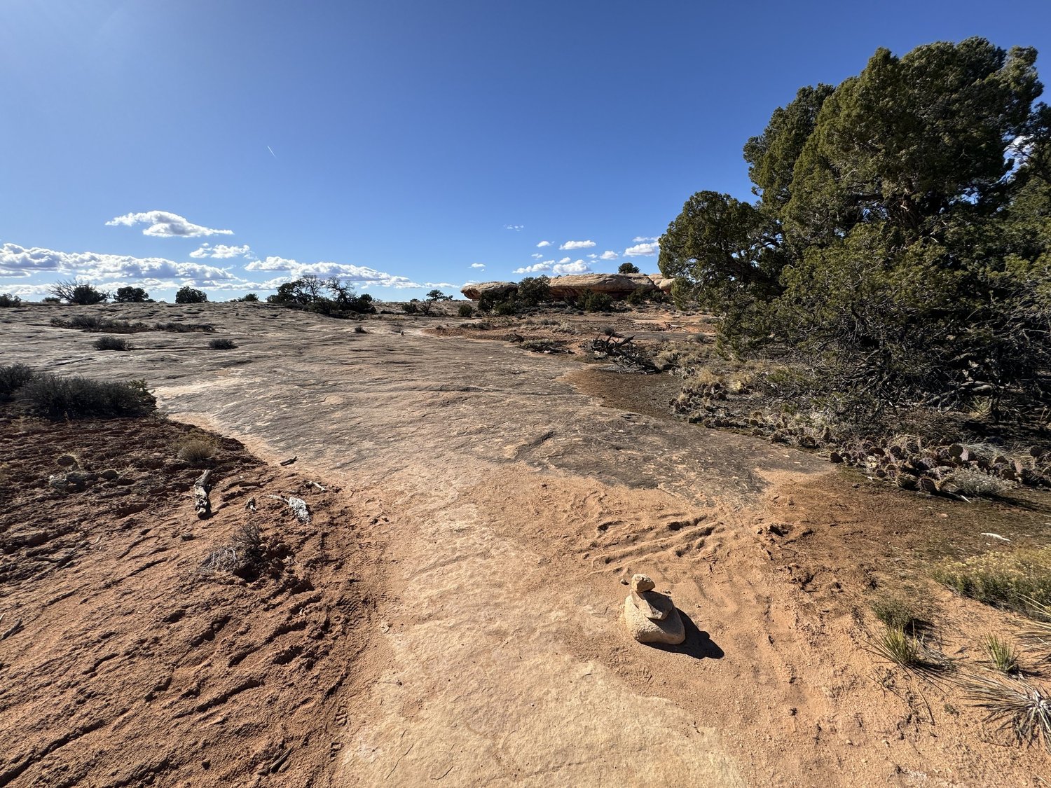 Hiking the Pothole Point Trail in Canyonlands National Park — noahawaii
