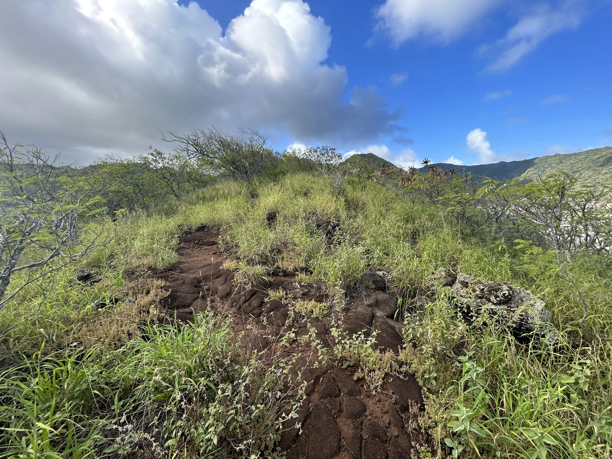 Hiking the Kamiloʻiki Ridge Trail on Oʻahu, Hawaiʻi — noahawaii