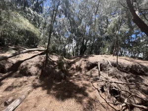Hiking the Kapālama Ridge Trail to Puʻu Lanihuli on Oʻahu — noahawaii
