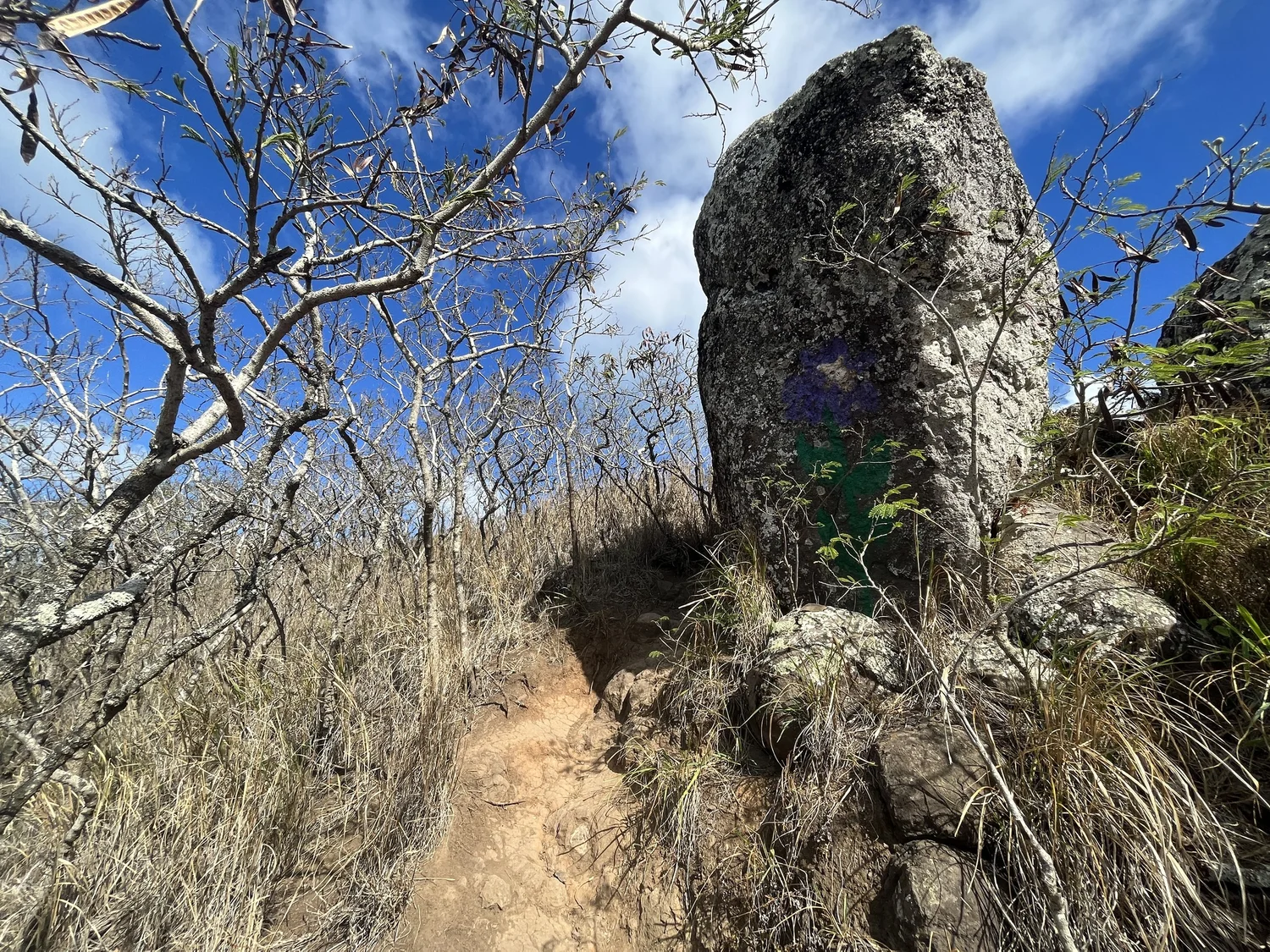 Hiking the Lanikai Pillbox Trail Back Way (Kaʻiwa Ridge) on Oʻahu ...