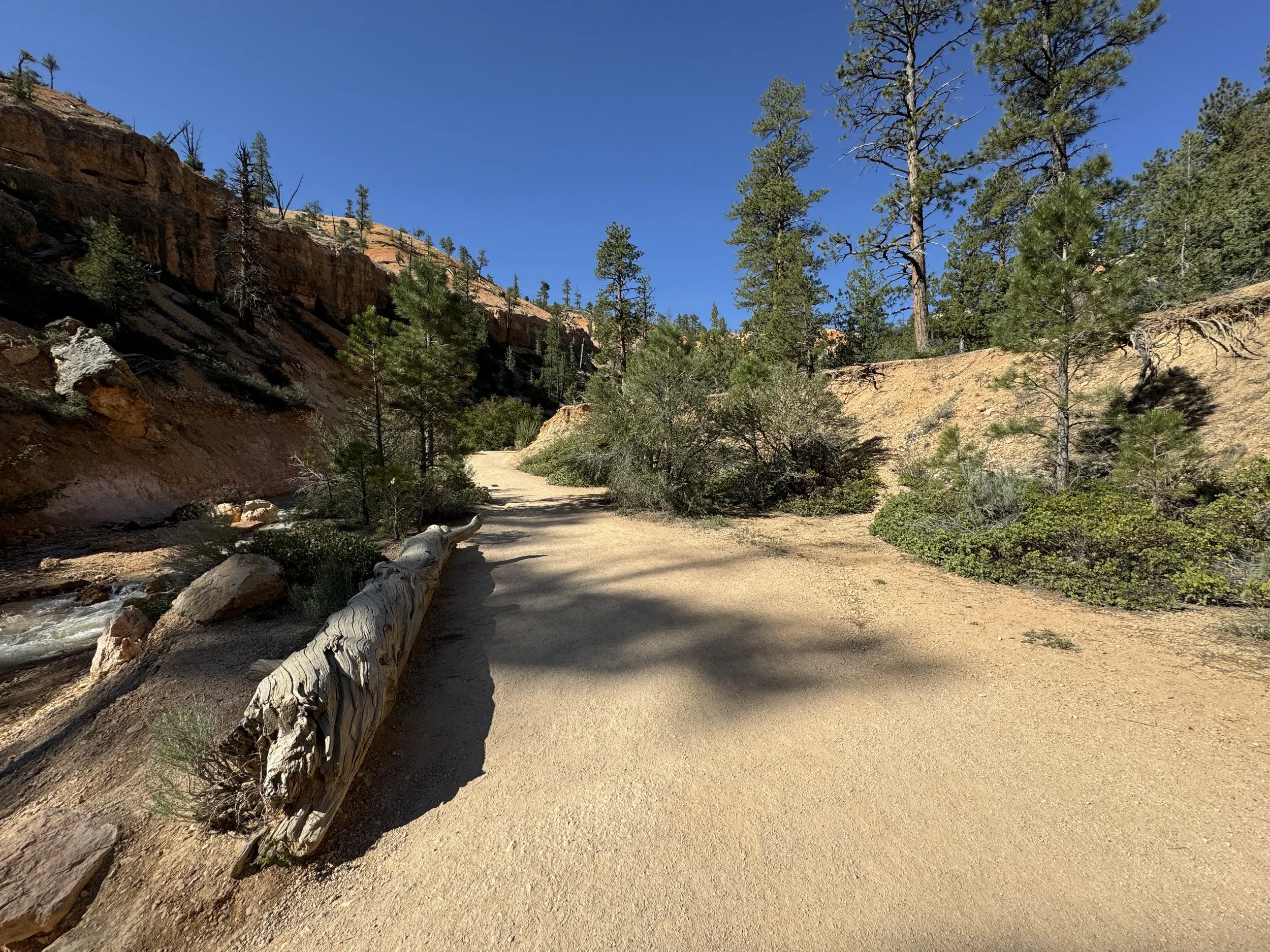 Hiking the Mossy Cave Trail in Bryce Canyon National Park — noahawaii