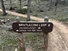 Hiking the Riggs Spring Loop Trail in Bryce Canyon National Park ...