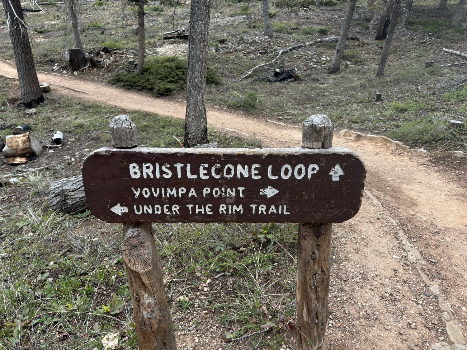 Hiking the Riggs Spring Loop Trail in Bryce Canyon National Park ...