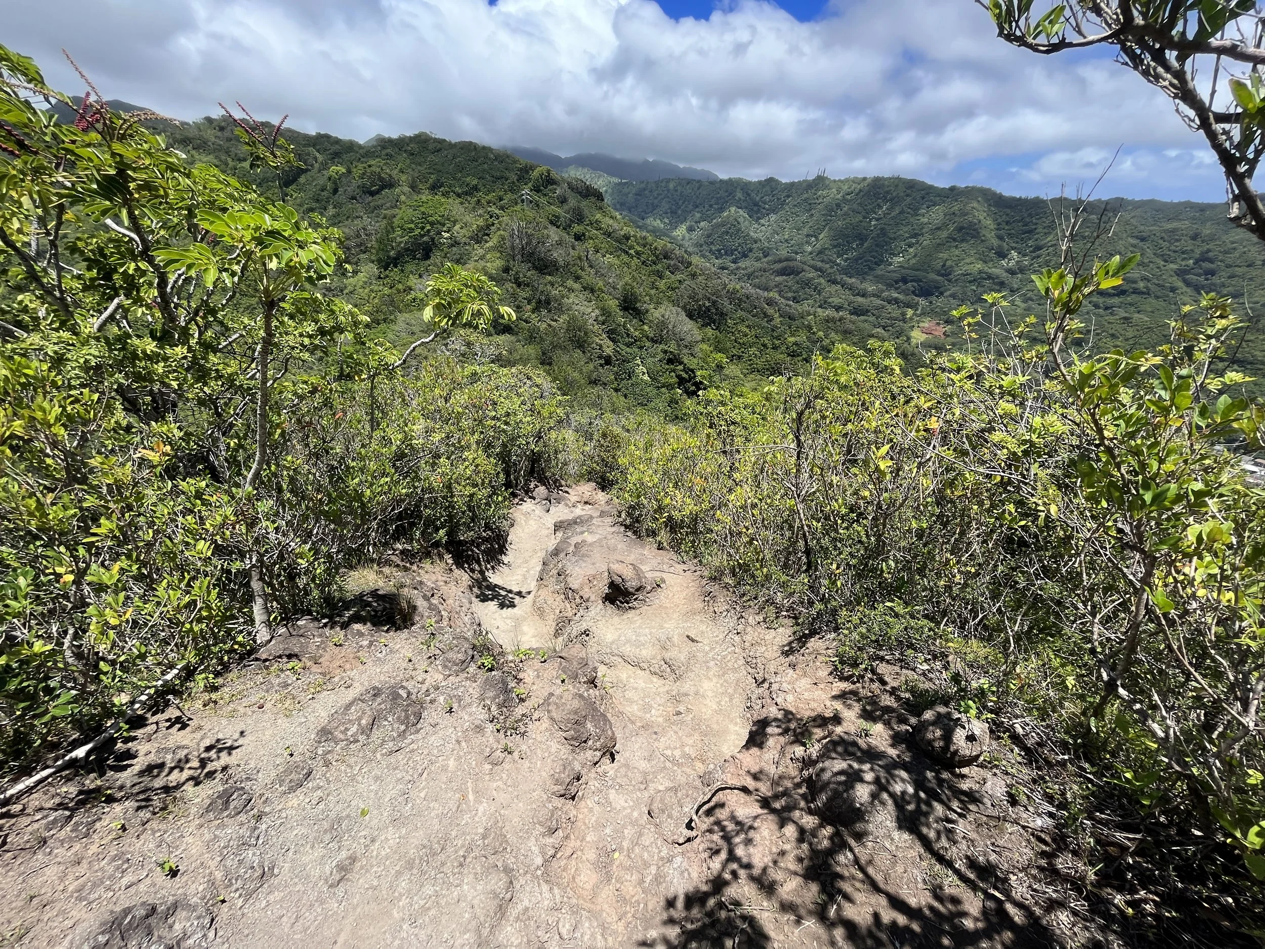 Hiking the Waʻahila Ridge Trail to Mt. Olympus (ʻAwaʻawaloa) on Oʻahu ...