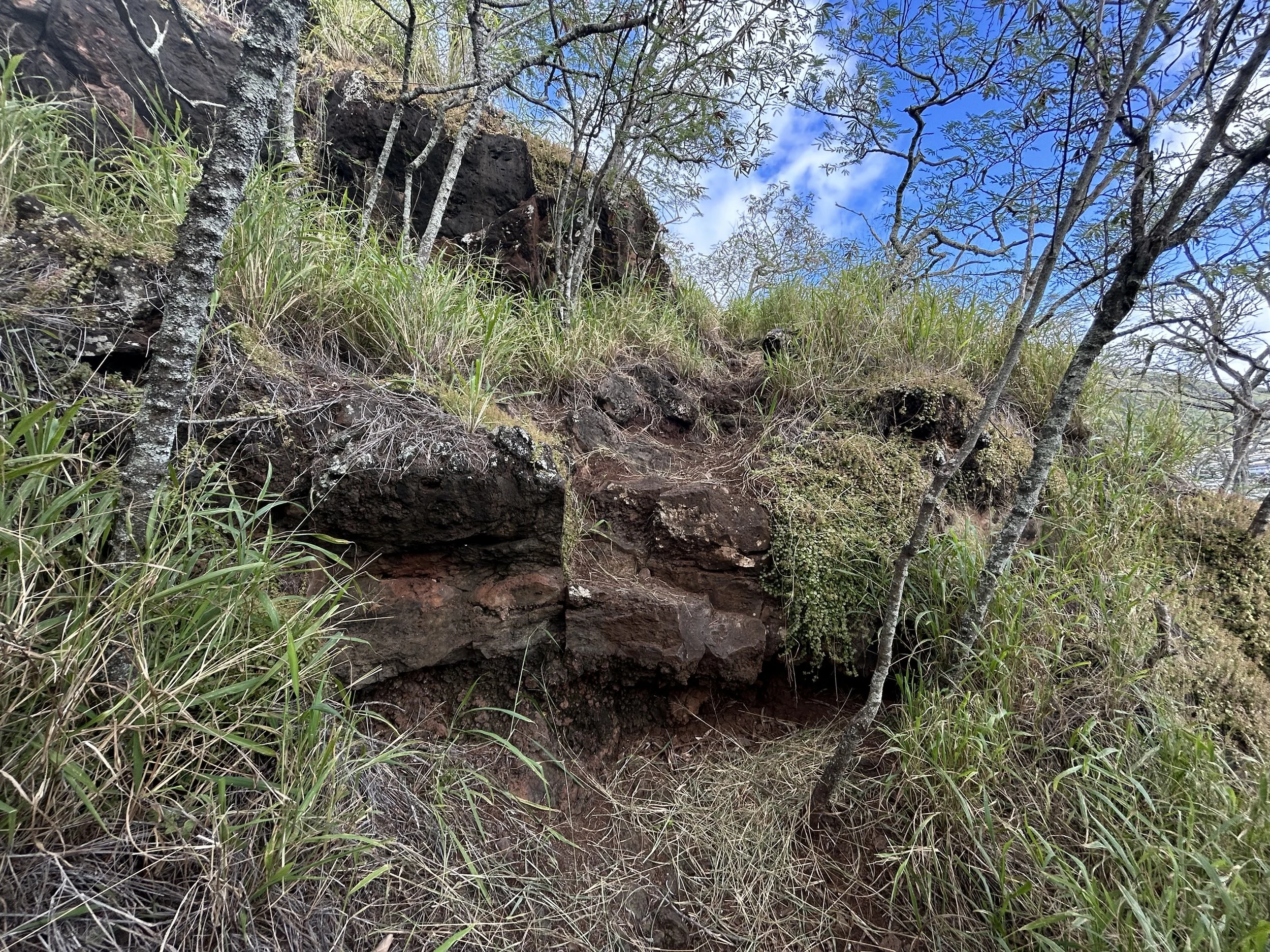 Hiking the Kamiloʻiki Ridge Trail on Oʻahu, Hawaiʻi — noahawaii