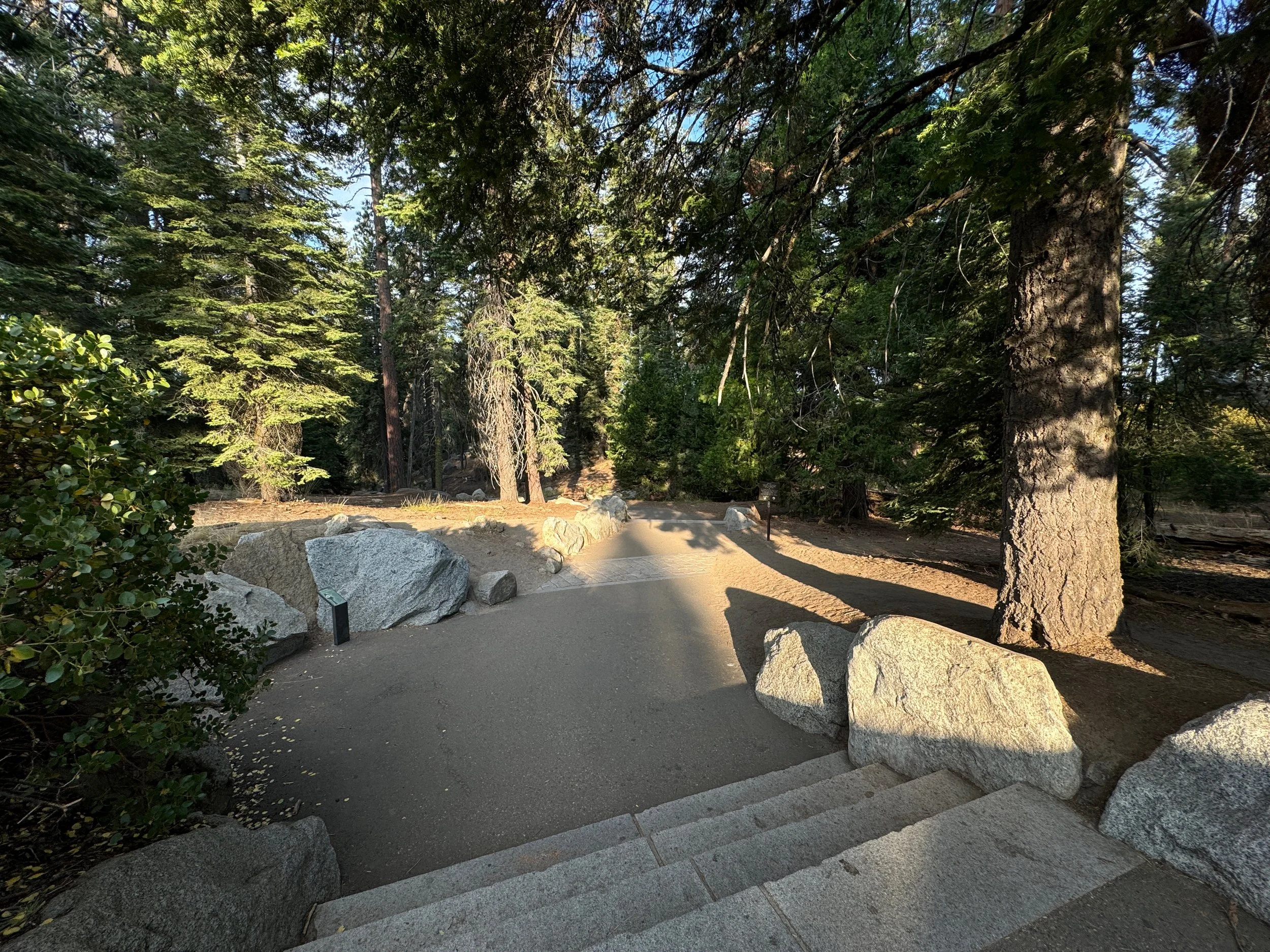 Hiking the Congress Trail in Sequoia National Park — noahawaii