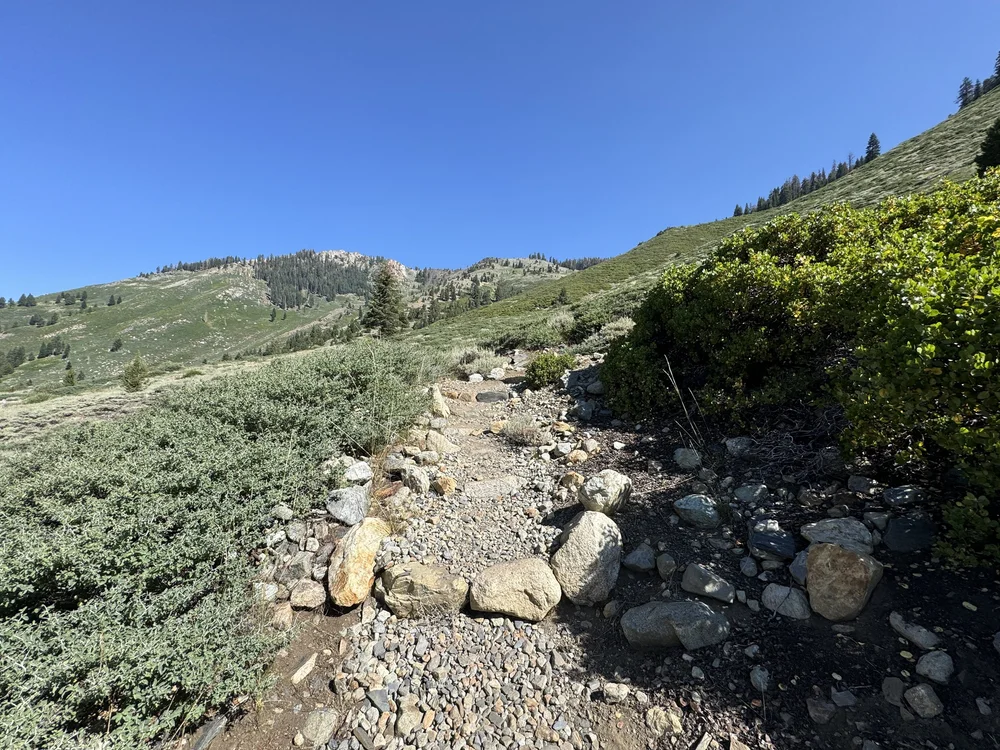 Hiking the Mineral King Loop Trail in Sequoia National Park — noahawaii