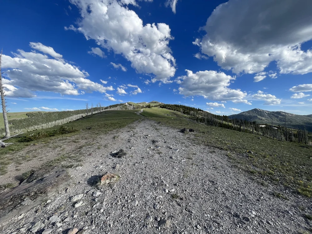 Hiking Mt. Washburn via Chittenden Road in Yellowstone National Park ...
