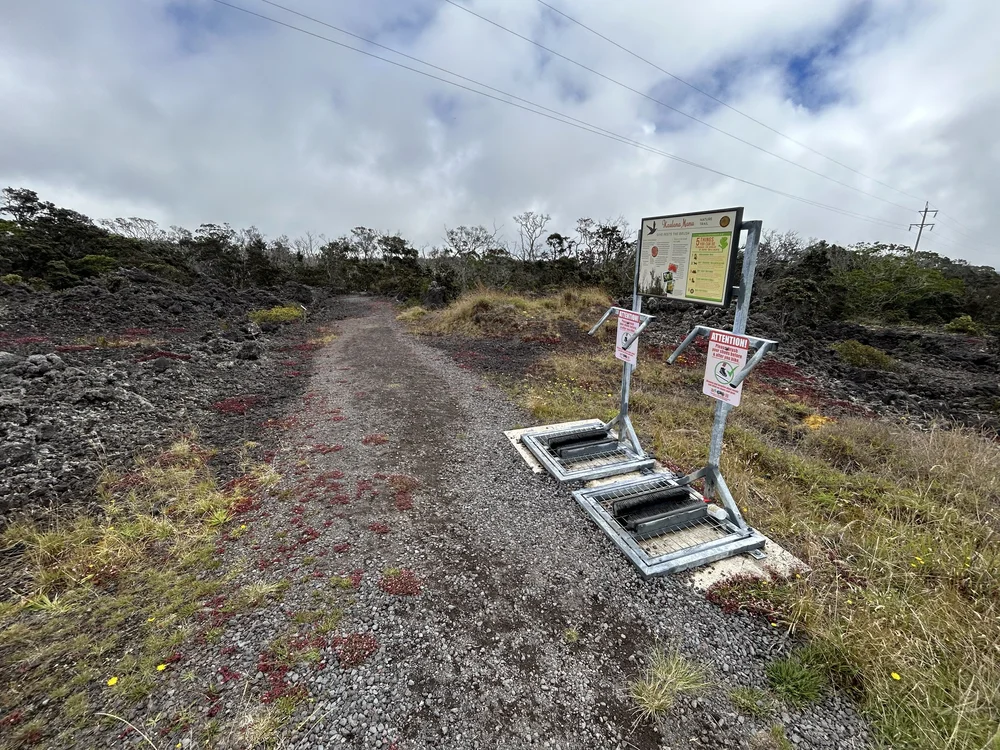 Hiking the Kaulana Manu Nature Trail on the Big Island of Hawaiʻi ...