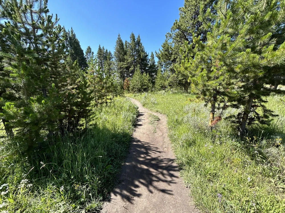 Hiking the Storm Point Trail in Yellowstone National Park — noahawaii