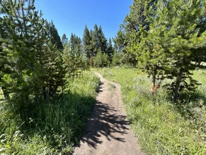 Hiking the Storm Point Trail in Yellowstone National Park — noahawaii