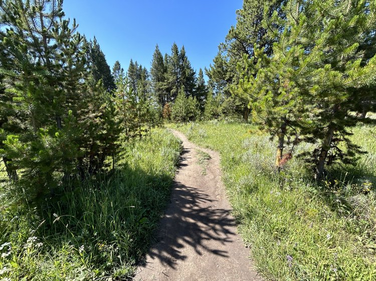 Hiking the Storm Point Trail in Yellowstone National Park — noahawaii