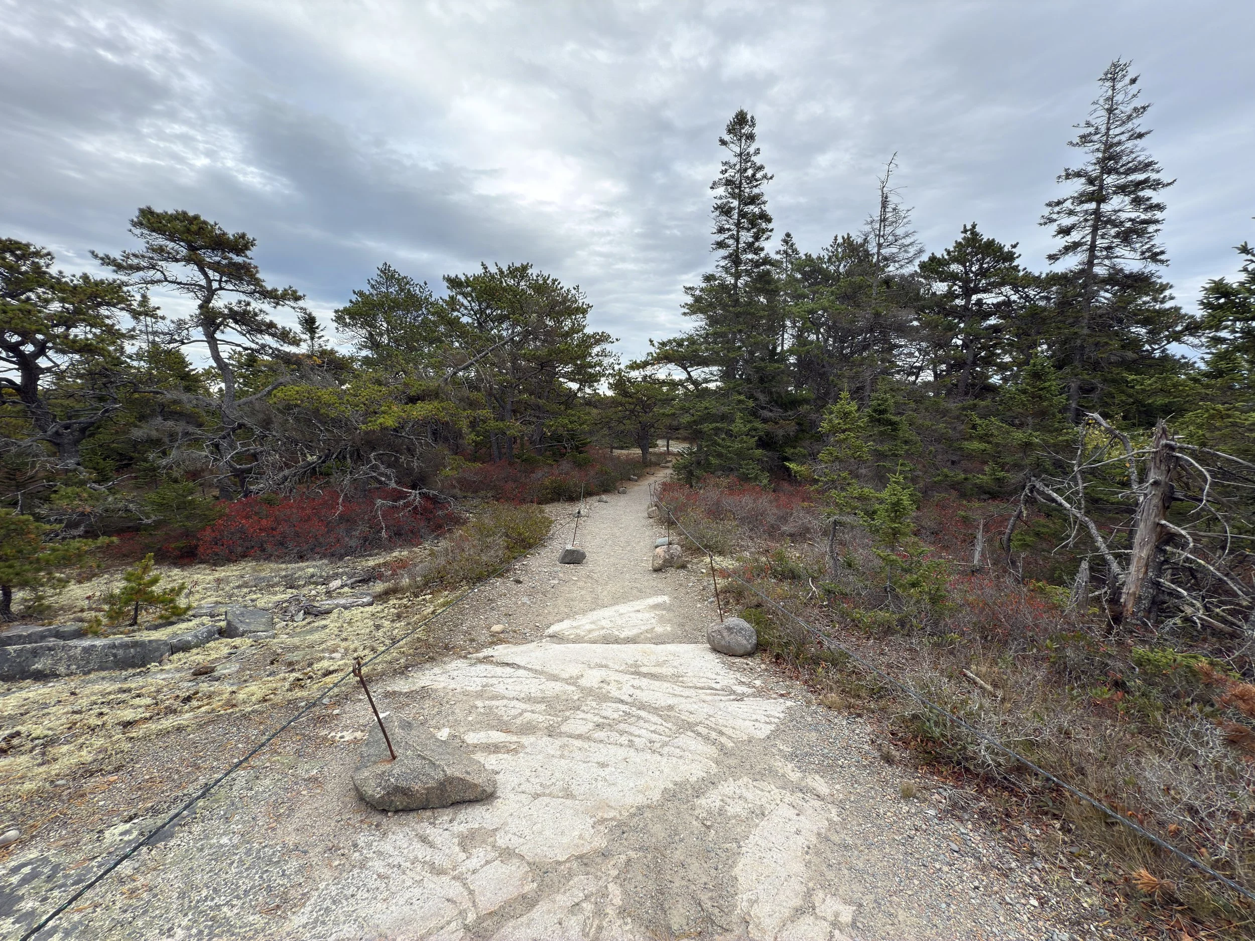 Hiking the Wonderland Trail in Acadia National Park — noahawaii